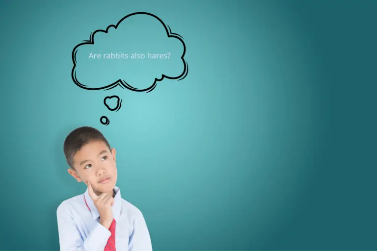 Little Peter Rabbit Nursery Rhyme- Lyrics, History, Video, Lesson Plans ...