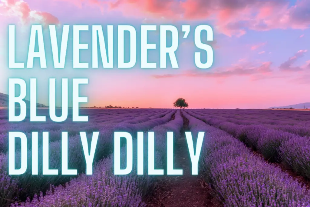 Lavender’s Blue Nursery Rhyme Video, Lyrics and Printable – Nursery ...