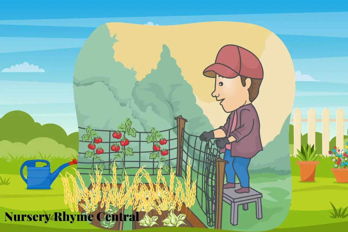 Oats, Peas, Beans and Barley Grow Nursery Rhyme Lyrics, Video and ...